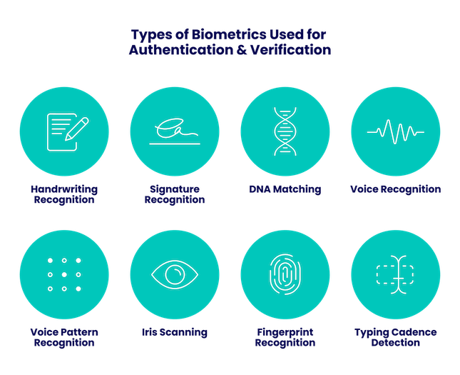What Is Biometric Authentication How Does It Work SEON